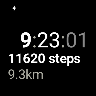 Waddle Step Tracker for Android Wear OS